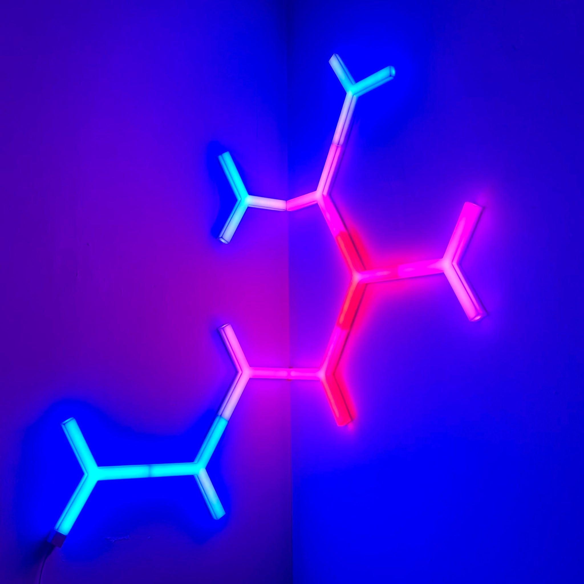 Moonside Neon Hex – Moonside Design